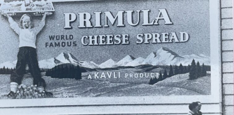 Primula | Real Creamy Cheese You Squeeze - Spreadable & Squeezable