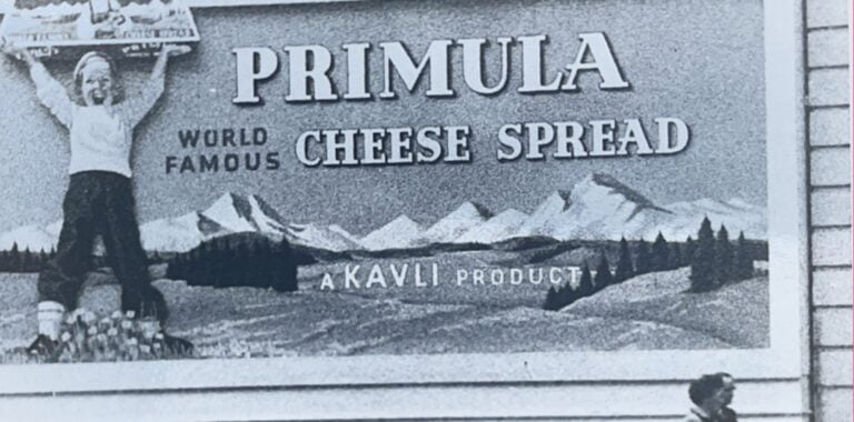 Primula | Real Creamy Cheese You Squeeze - Spreadable & Squeezable