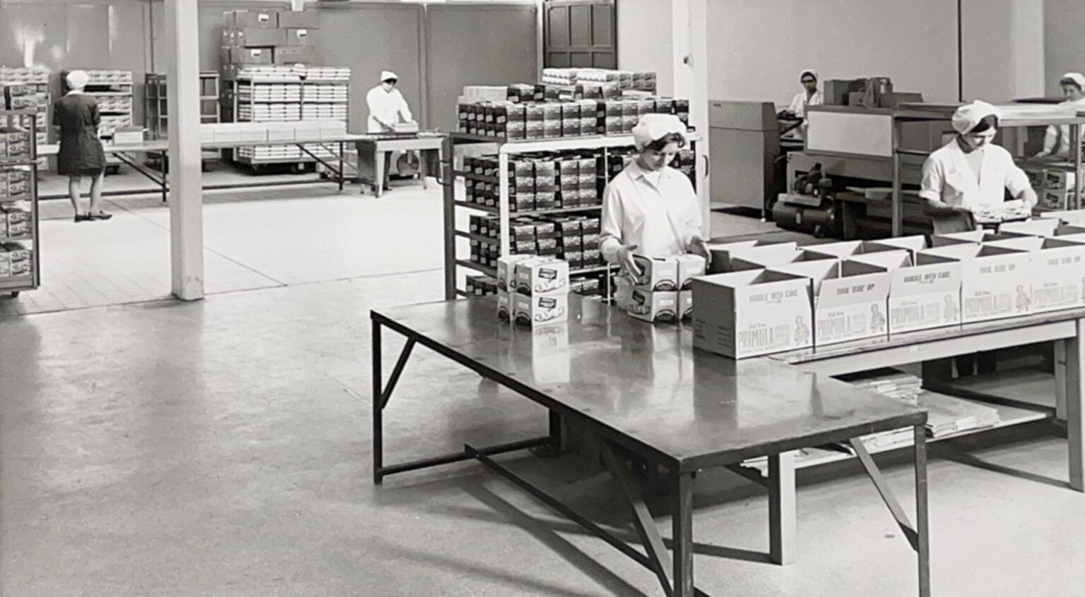 Primula | Real Creamy Cheese You Squeeze - Spreadable & Squeezable